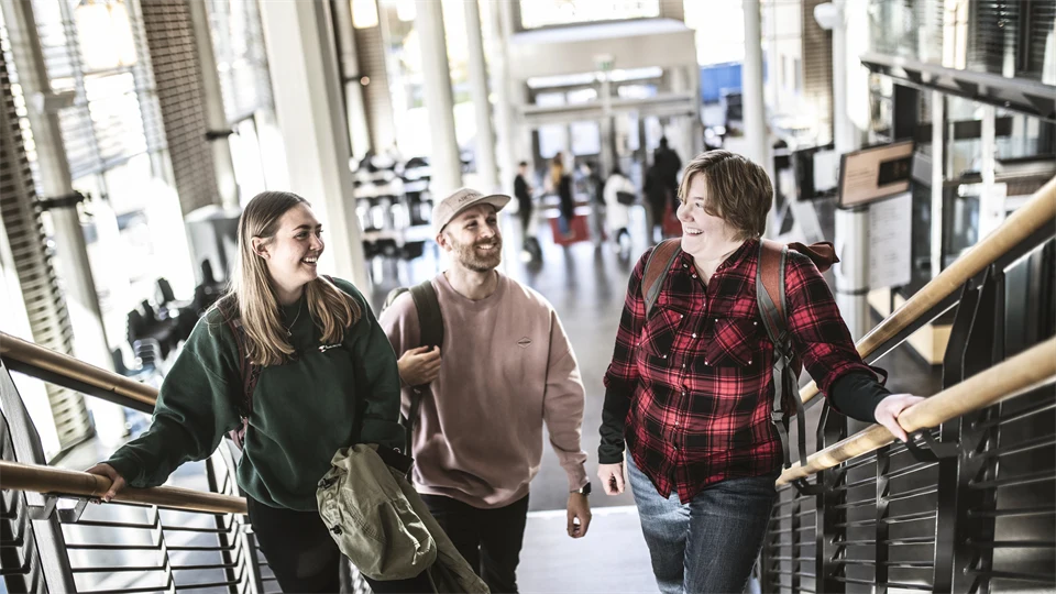 Ekonomprogrammet, 180 hp | miun.se