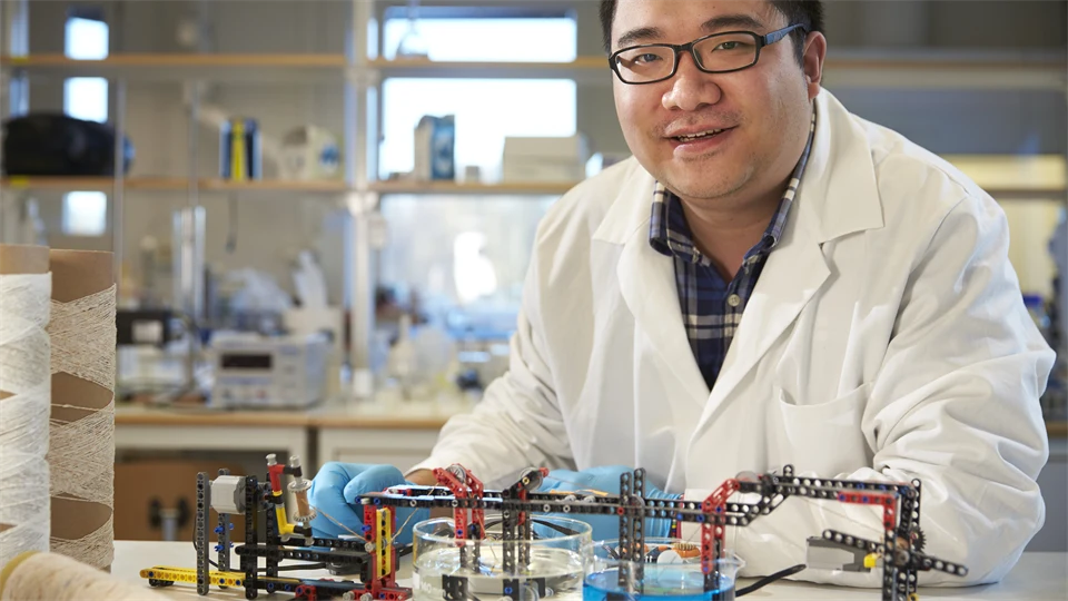 Third-Cycle Courses and Study Programmes | miun.se